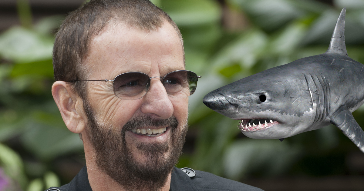 Live in Concert: Led Zeppelin | 95.7 The Hog