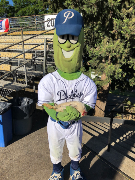 The best thing we’ve seen today… | 95.7 The Hog