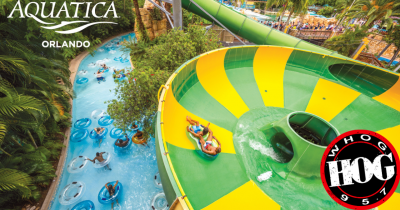 whog – website | 95.7 The Hog