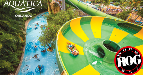 whog – website | 95.7 The Hog