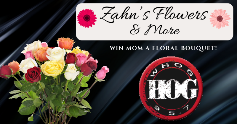 whog – website | 95.7 The Hog