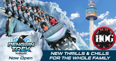 whog – website | 95.7 The Hog